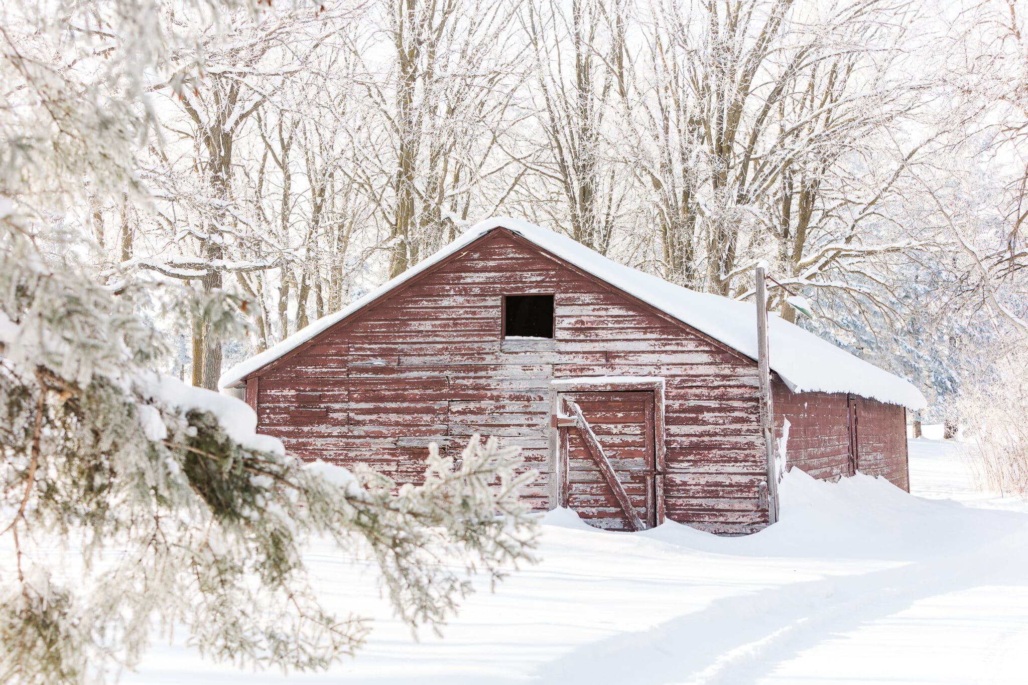 Barns and Back Roads of Roseau County | Scenic Drives