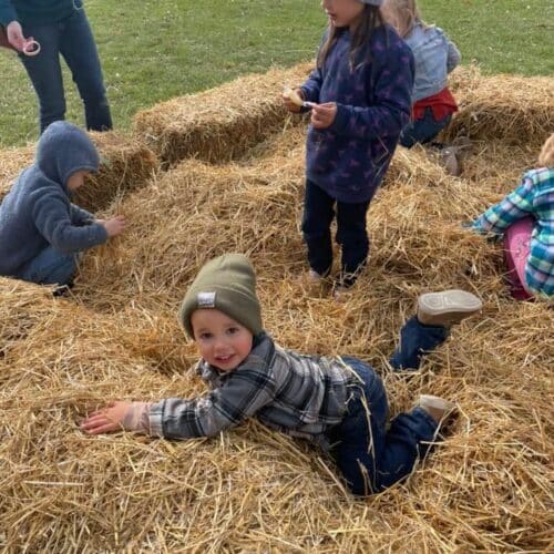 Vote for Roseau, MN to Win the Cenex Hometown Throwdown